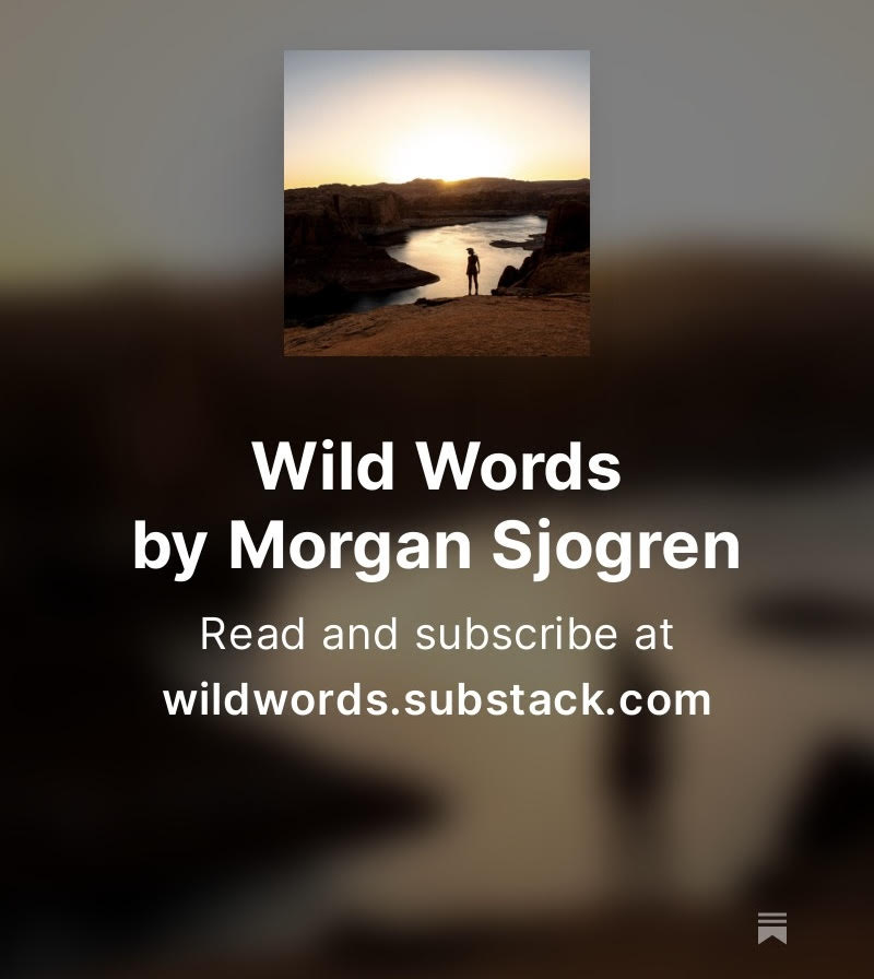 morgansjogren.com